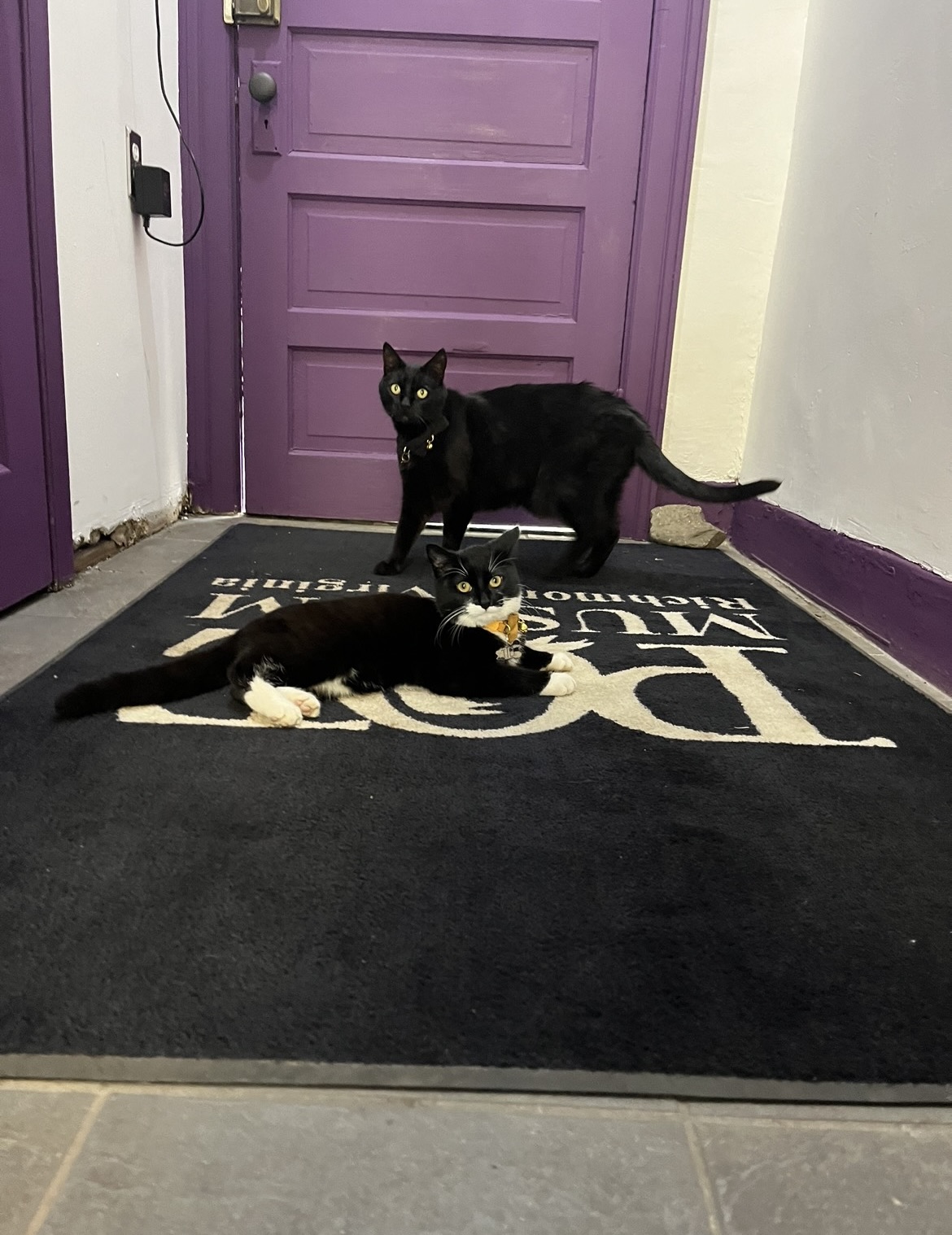 The Museum – The Poe Museum